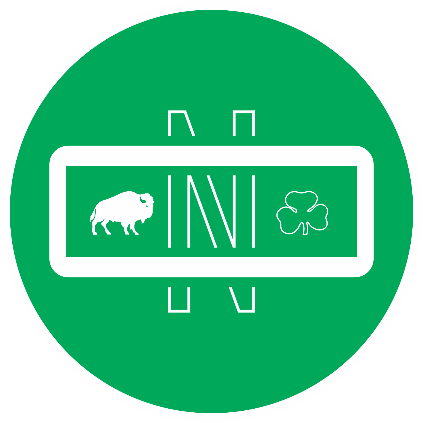 Irish – Buffalo Everywhere
