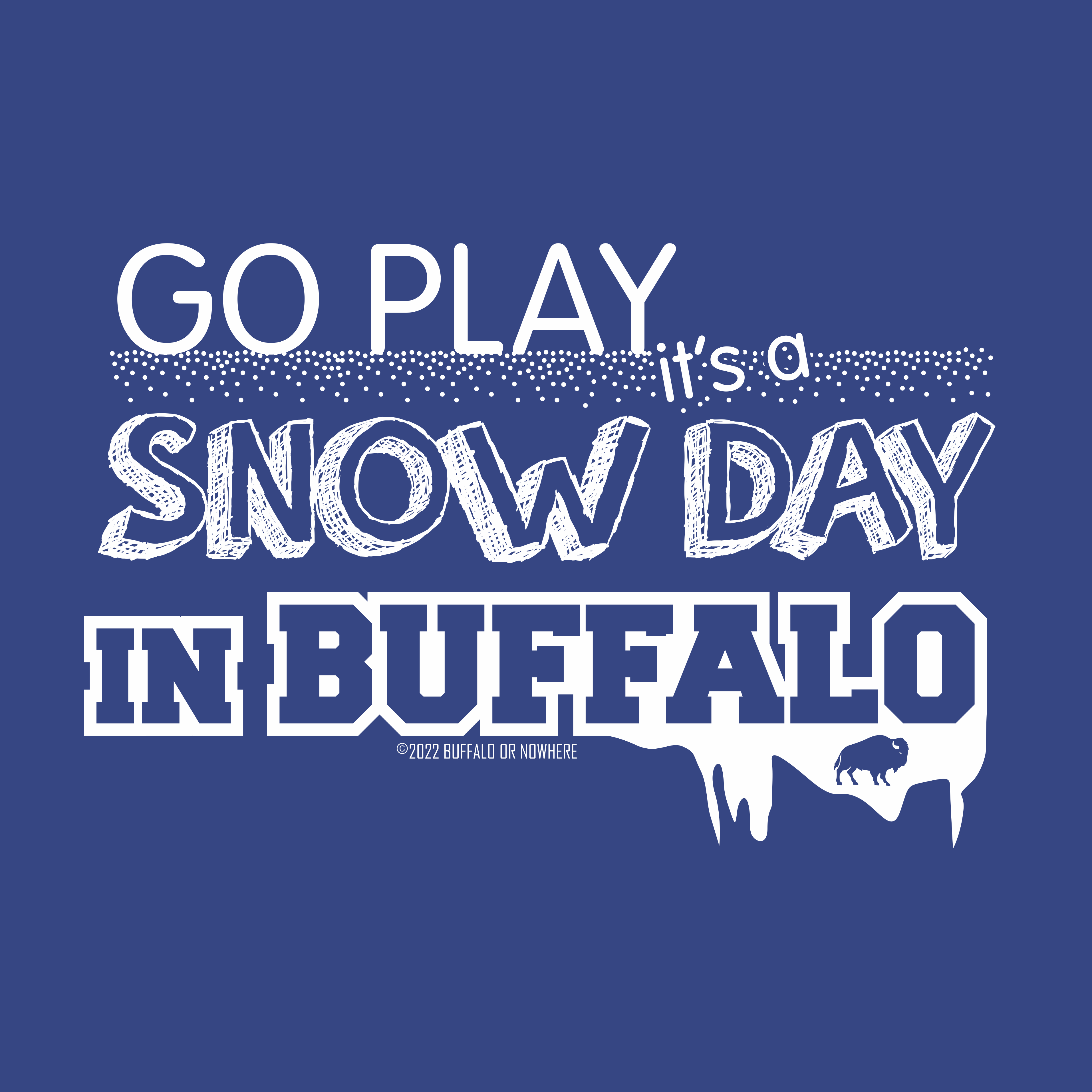 Snow Day!!! – Buffalo Everywhere